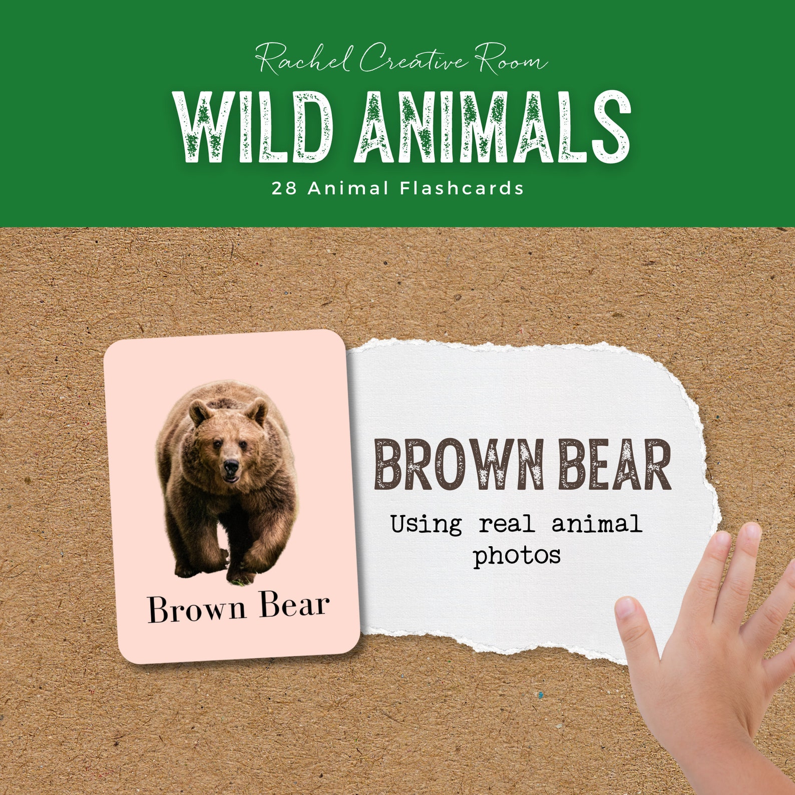 Real Wild Animals Educational Flashcards, Cute Animal, Educational ...