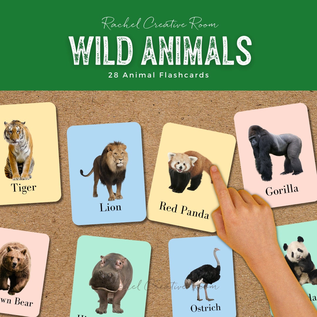 Real Wild Animals Educational Flashcards, Cute Animal, Educational ...