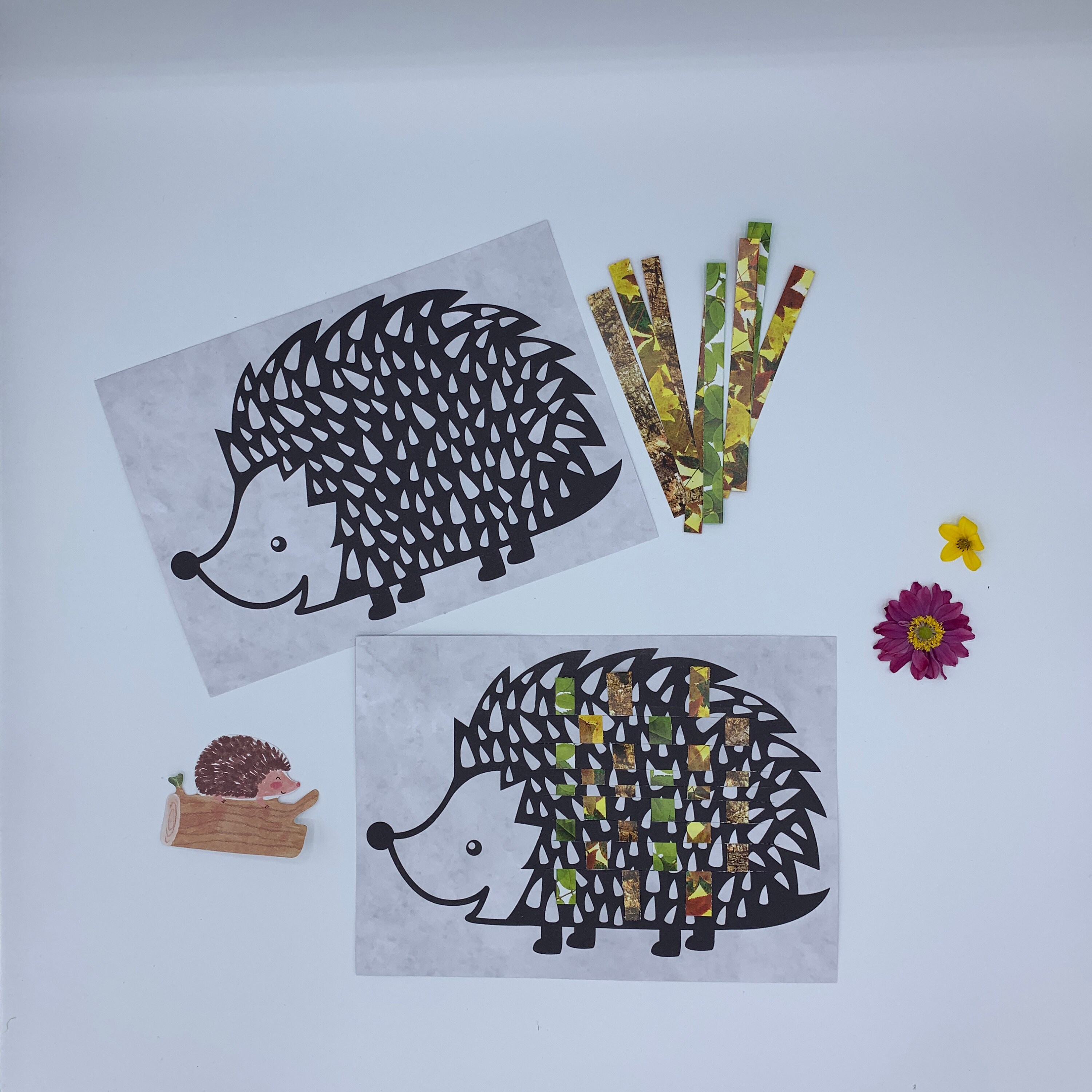 Woodland Animals Activity Pack Children Gift Forest Kids - Etsy