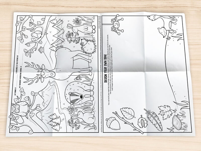 Woodland Animals Activity Pack Children Gift Forest Kids - Etsy