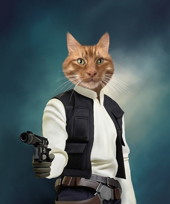 Star Wars Cat Costumes