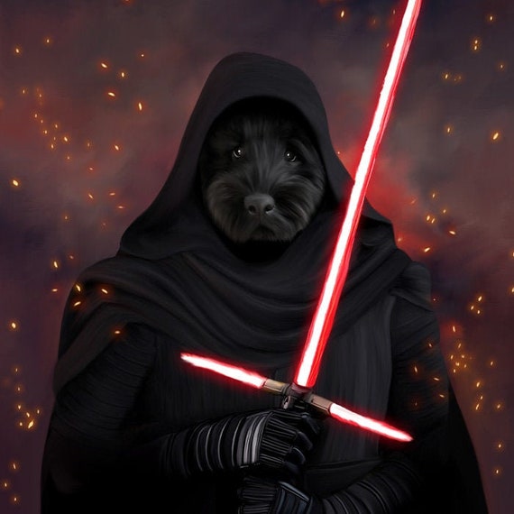 Darth Vader Costume Dog