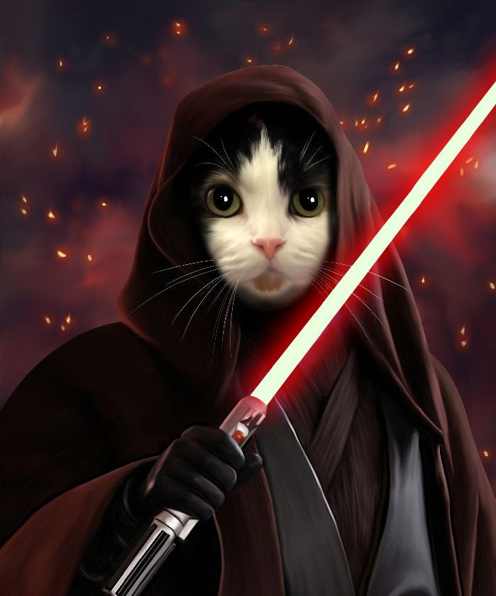 Sith Cat