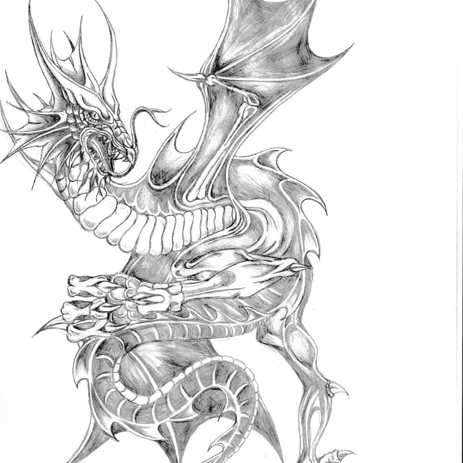 Print Dragon Fantasy Dragon Drawing Dragon lover Detailed | Etsy