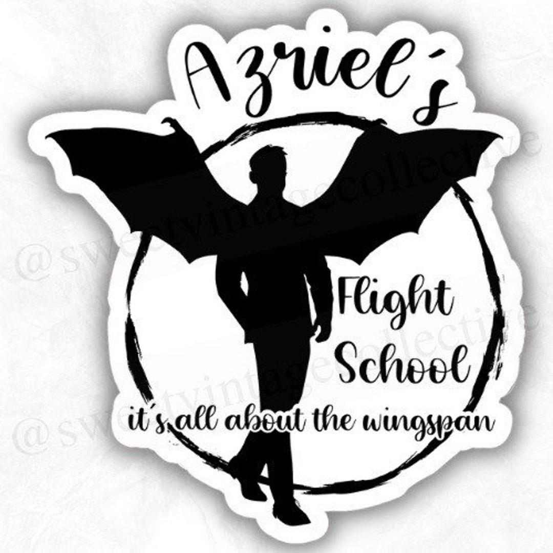 Azriel’s Flight School, ACOTAR Inspired, Az, A Court of Thorns and ...