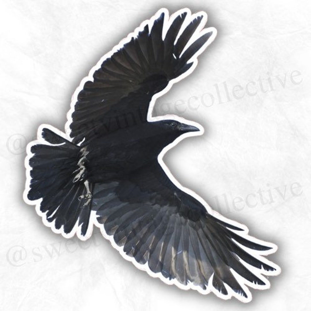 Raven Sticker, Raven, Crow, Dark Academia, Bookish Sticker, Romance ...