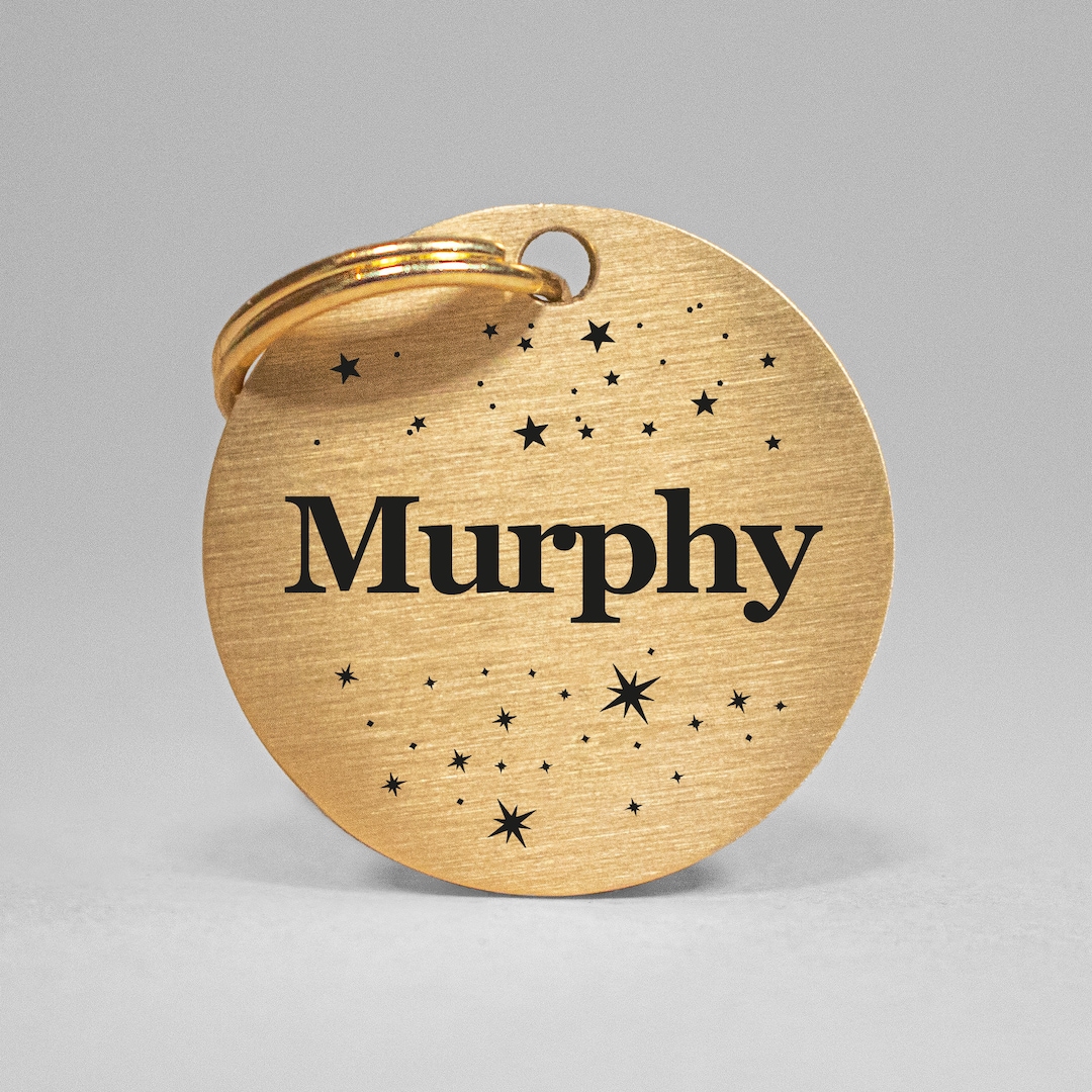 Personalized Pet Name Tag Custom Engraved Cat & Dog ID Tag for Collar ...