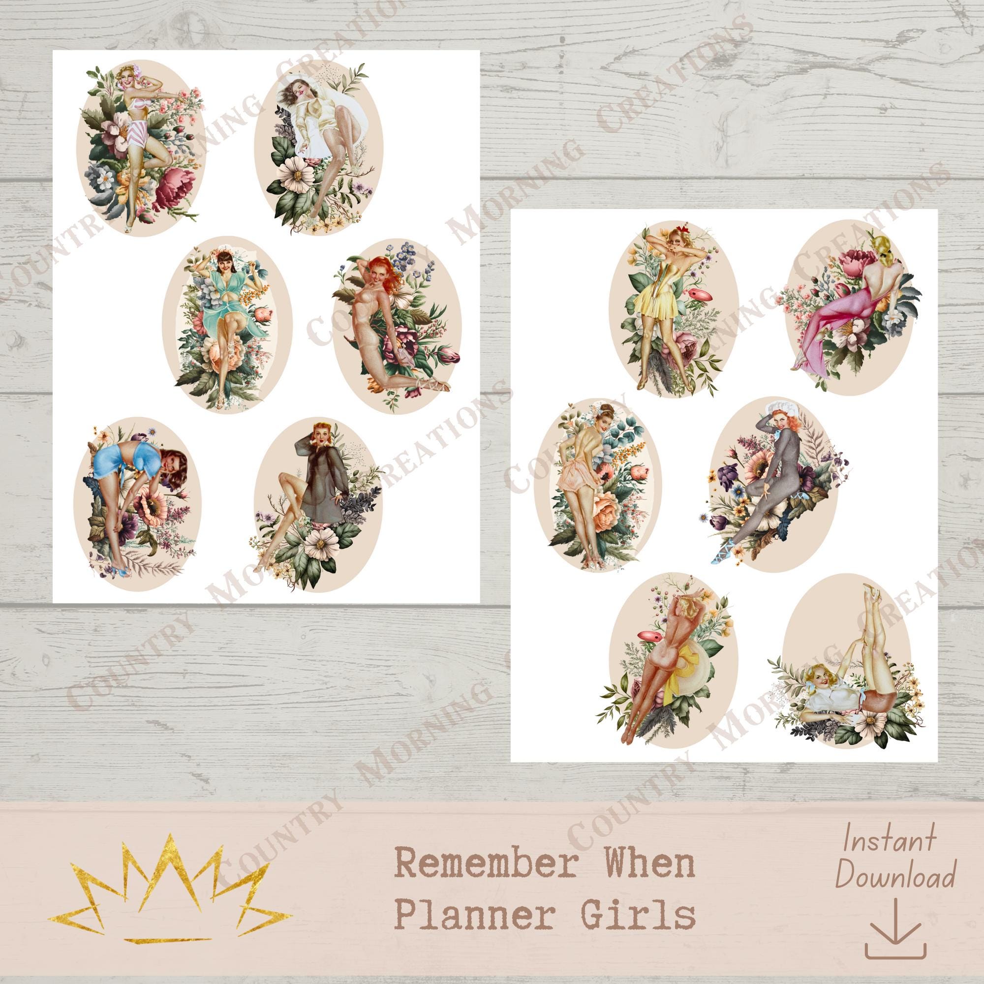 Remember When, Planner, Stickers, Fussy Cut, Planner Girls, Cricut ...