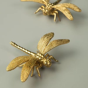 Dragonfly Brass Cabinet Knob, Solid Brass Drawer Pull, Doorknob, Dragonfly Knob, Knobs Drawer ...
