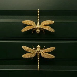 Dragonfly Brass Cabinet Knobs, Solid Brass Drawer Pulls, Animal Doorknobs, Dragonfly Knobs ...