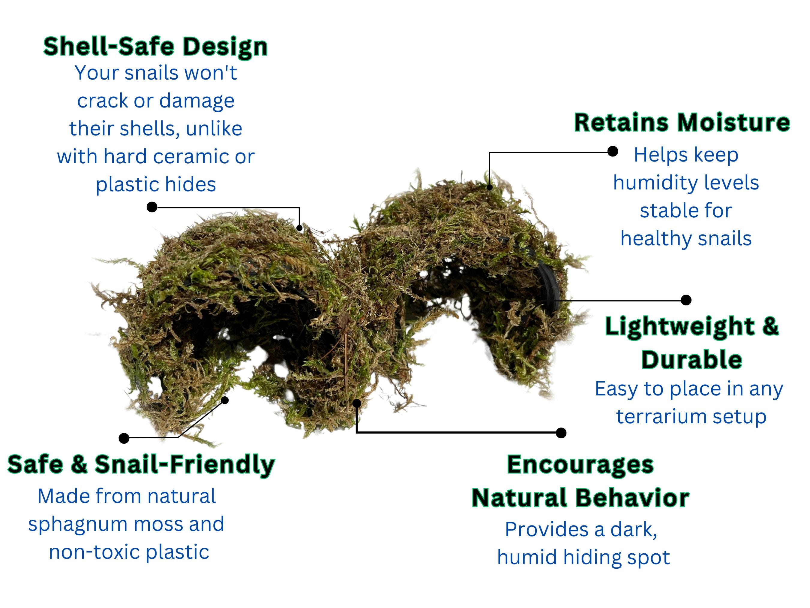 Pet Snail House, Hiding Places for Land Snails Set of 2 Pcs | Pet Snail ...