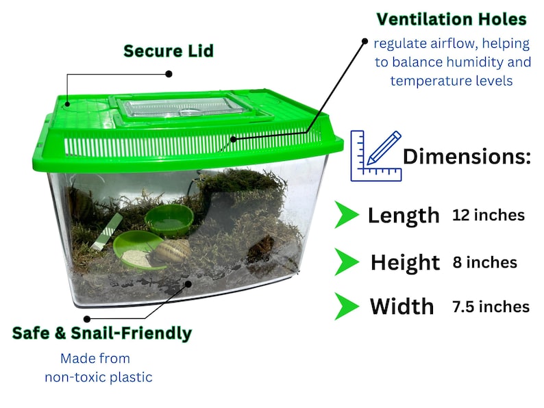 Small Mini Terrarium for Land Snails | Pet Snail Enclosure for Helix ...