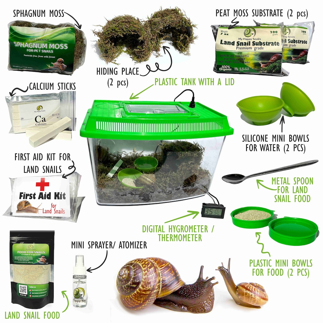 Pet Snail Terrarium Kit + 50% OFF Discount Card for Buying Helix ...