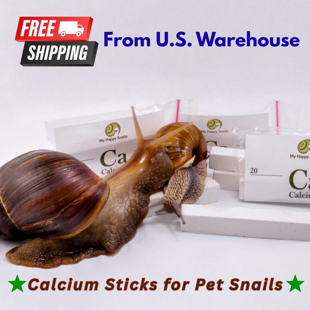 Calcium Sticks for Pet Snails | Strengthens Shells & Boosts Health ...