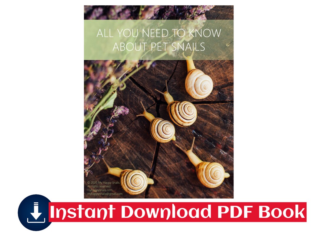 All You Need to Know About Pet Snail | Instant Download PDF File Ebook ...