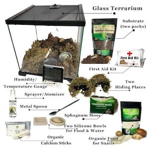 Snail Terrarium Pro Kit With Decor, Food Bowl, Substrate, Moss, Hiding ...