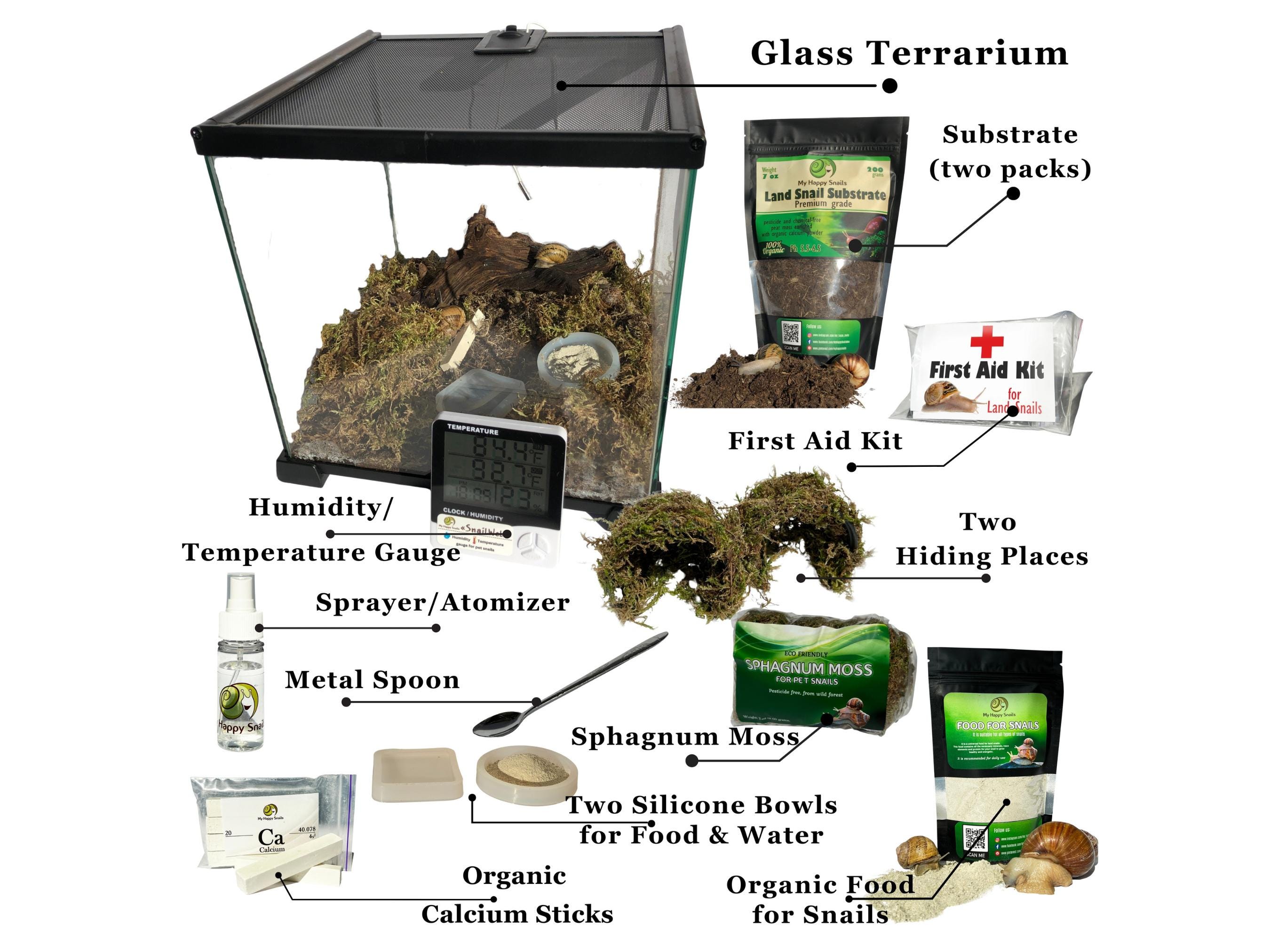 Snail Terrarium Pro Kit With Decor, Food Bowl, Substrate, Moss, Hiding ...