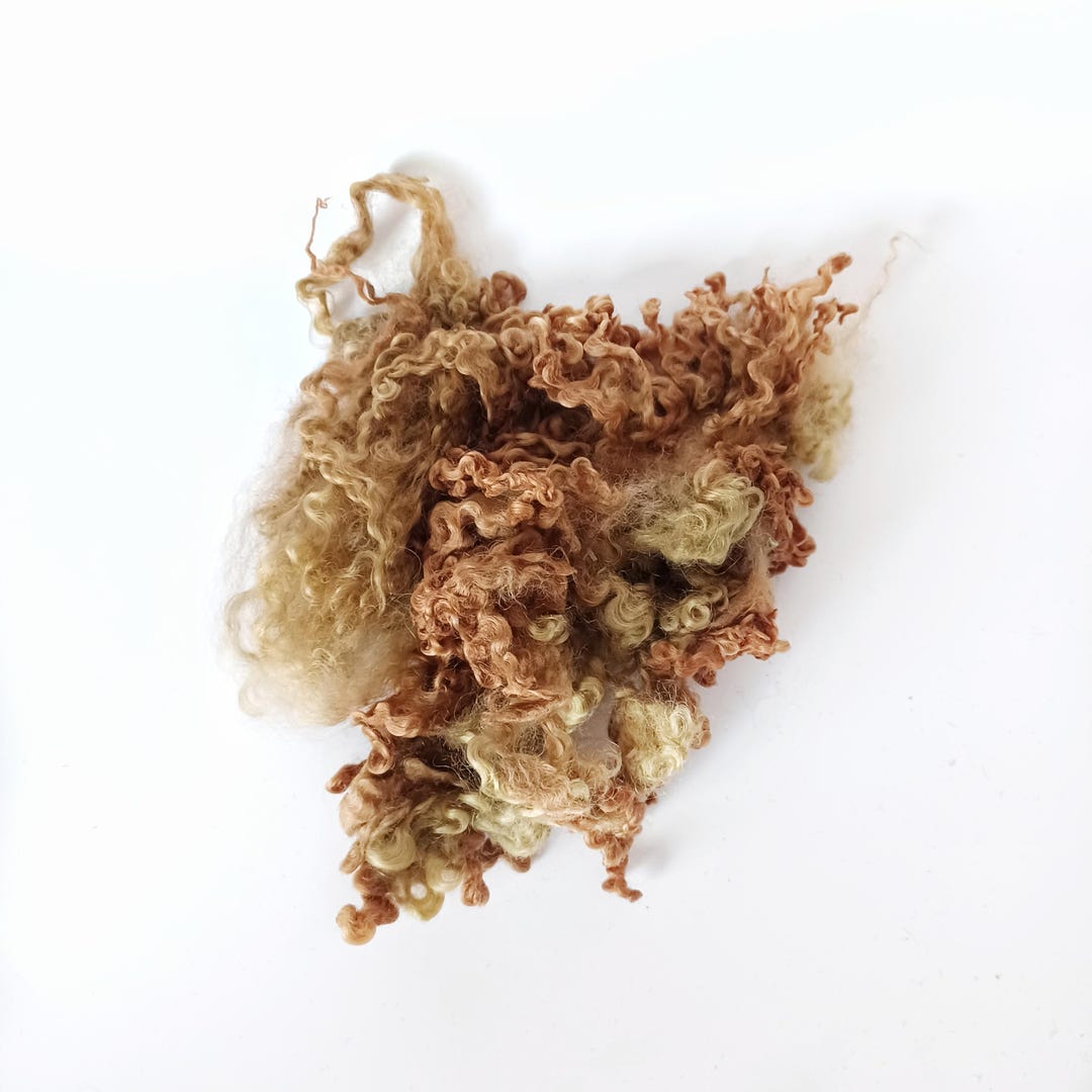 Wool Locks Light Brown 0.5 -1 Oz Dark Blonde Wool Locks for Dollhair ...