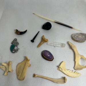 Osteomancy Set Bone Divination Set for the Super Cool - Etsy