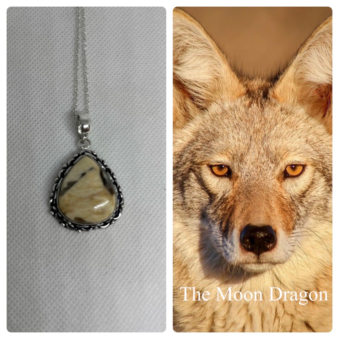 Female Coyote Spirit Companion and Guide - Etsy
