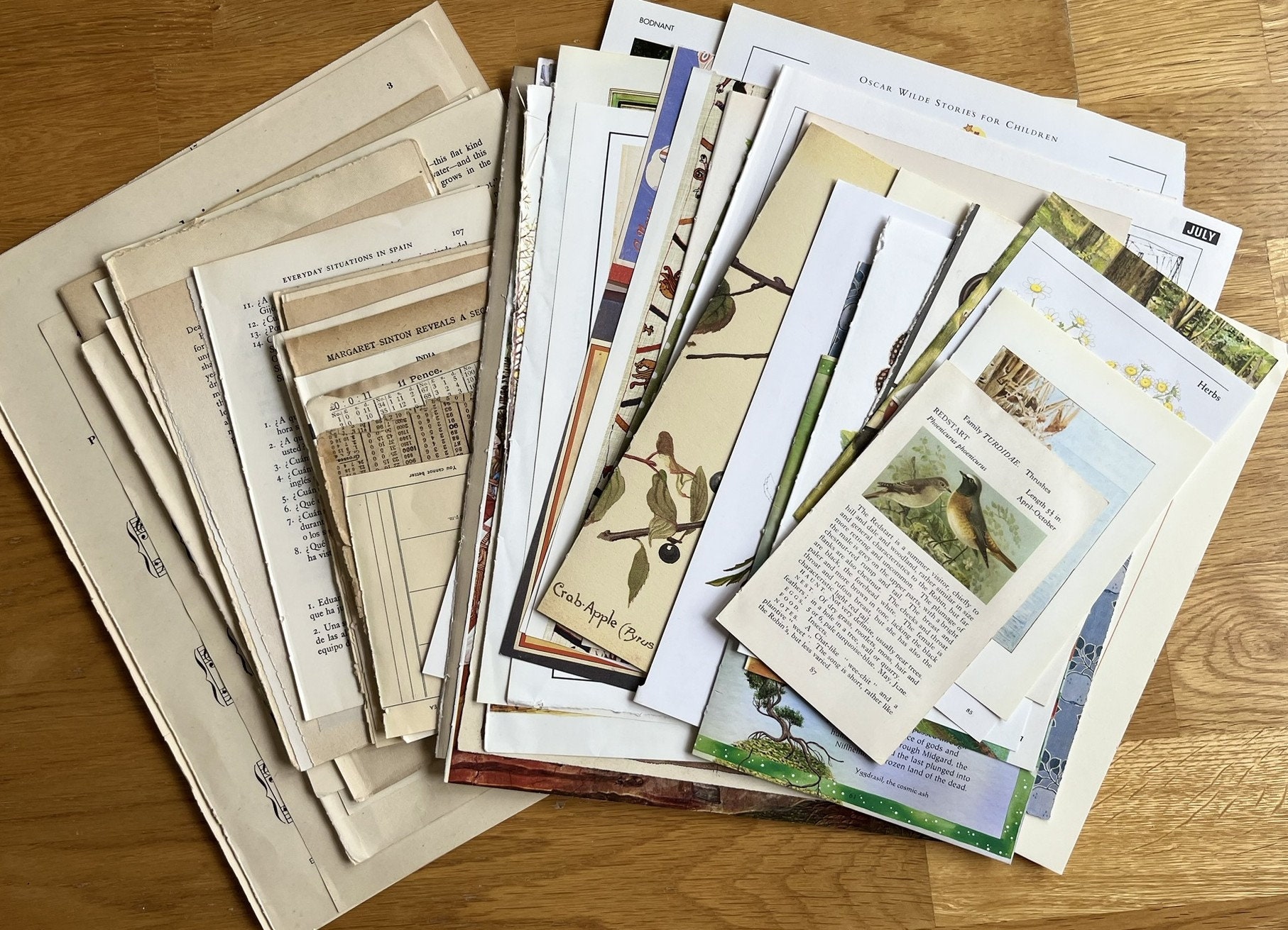 Book Page Bundles Mixed Bundles Including Antique and Vintage Book ...