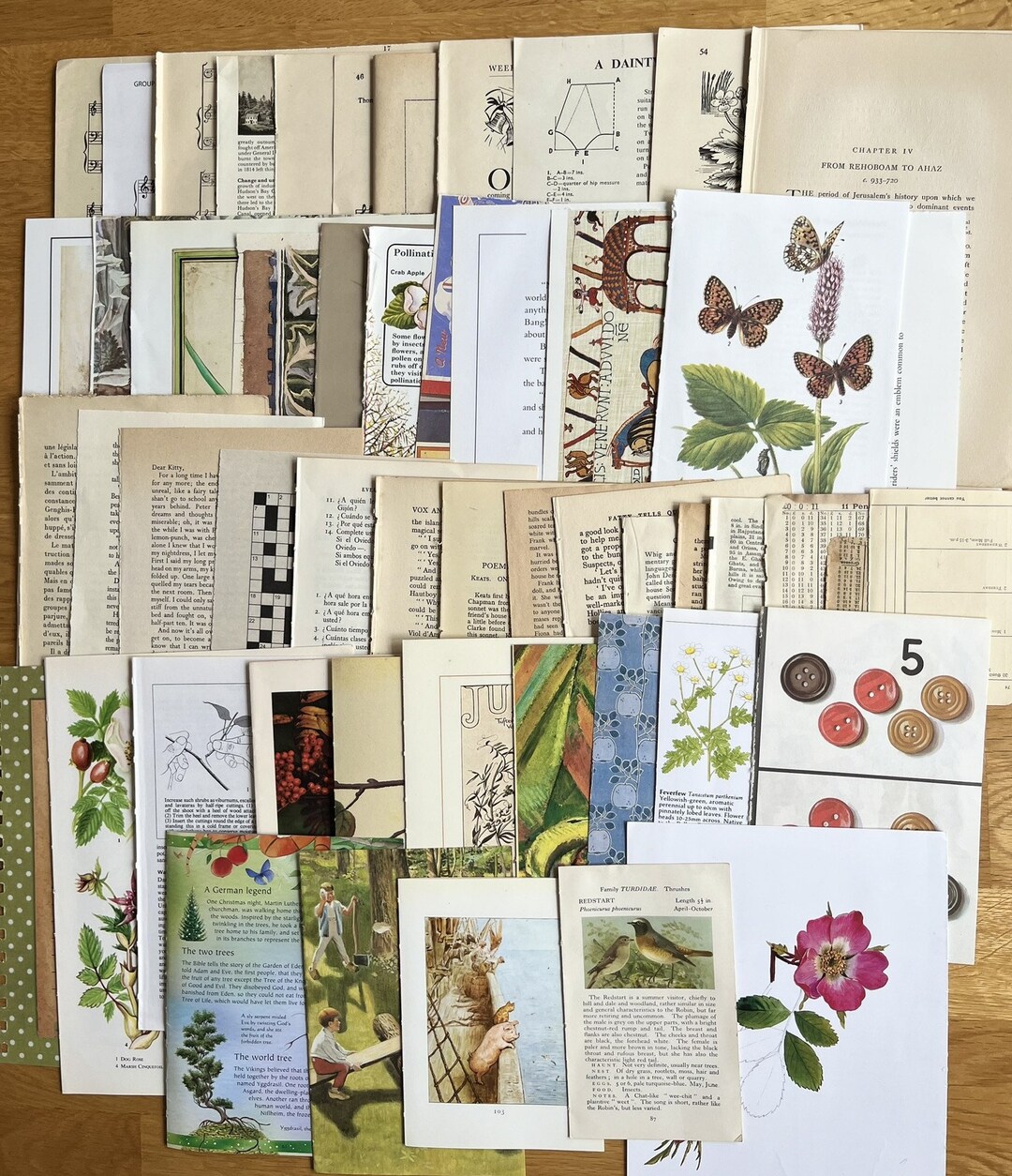 Book Page Bundles Mixed Bundles Including Antique and Vintage Book ...