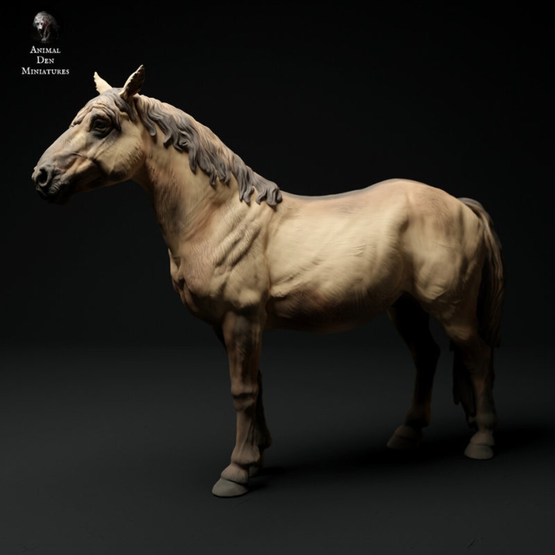 Konik | Resin Horse to Paint | Different Optios | 35, 49, 54 or 75 Mm ...