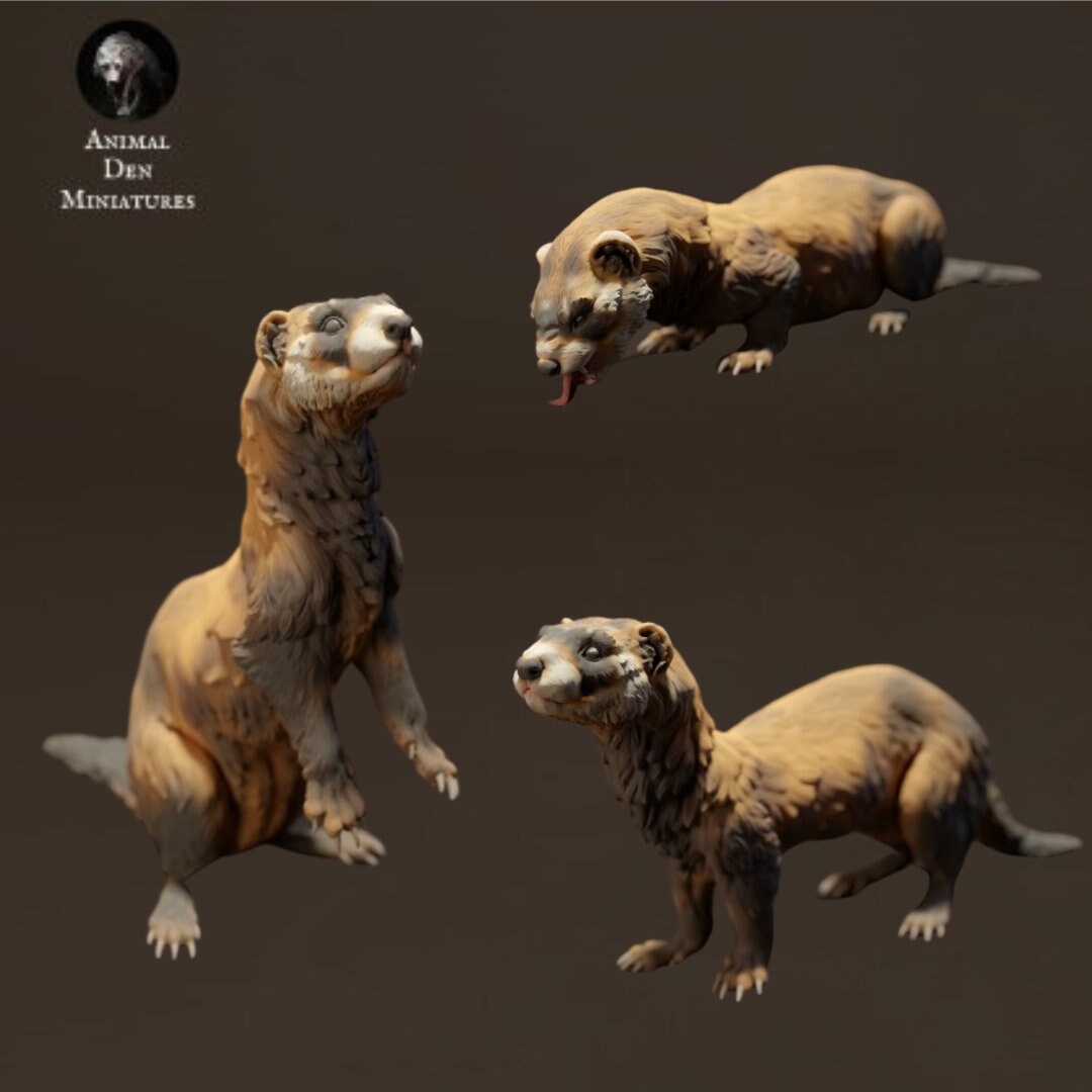 Set 3 European Ferret | Resin Ferret to Paint | 35, 49, 54 or 75 Mm ...