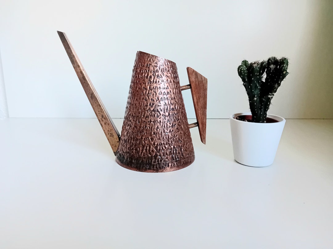 Vintage Watering Can - Small Cactus Watering Can - 60s Decoration ...