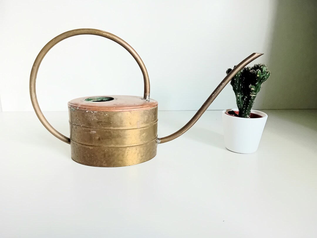 Vintage Watering Can - Small Cactus Watering Can - 60s Decoration ...