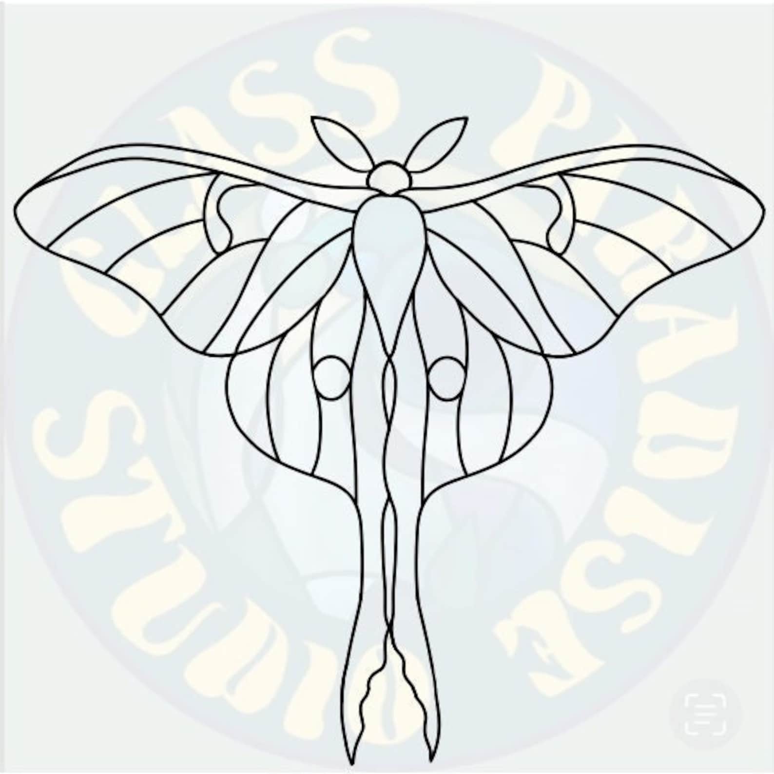 Luna Moth Stained Glass Pattern PDF PNG Digital File - Etsy