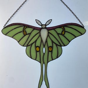 Luna Moth Stained Glass Pattern PDF, PNG Digital File - Etsy