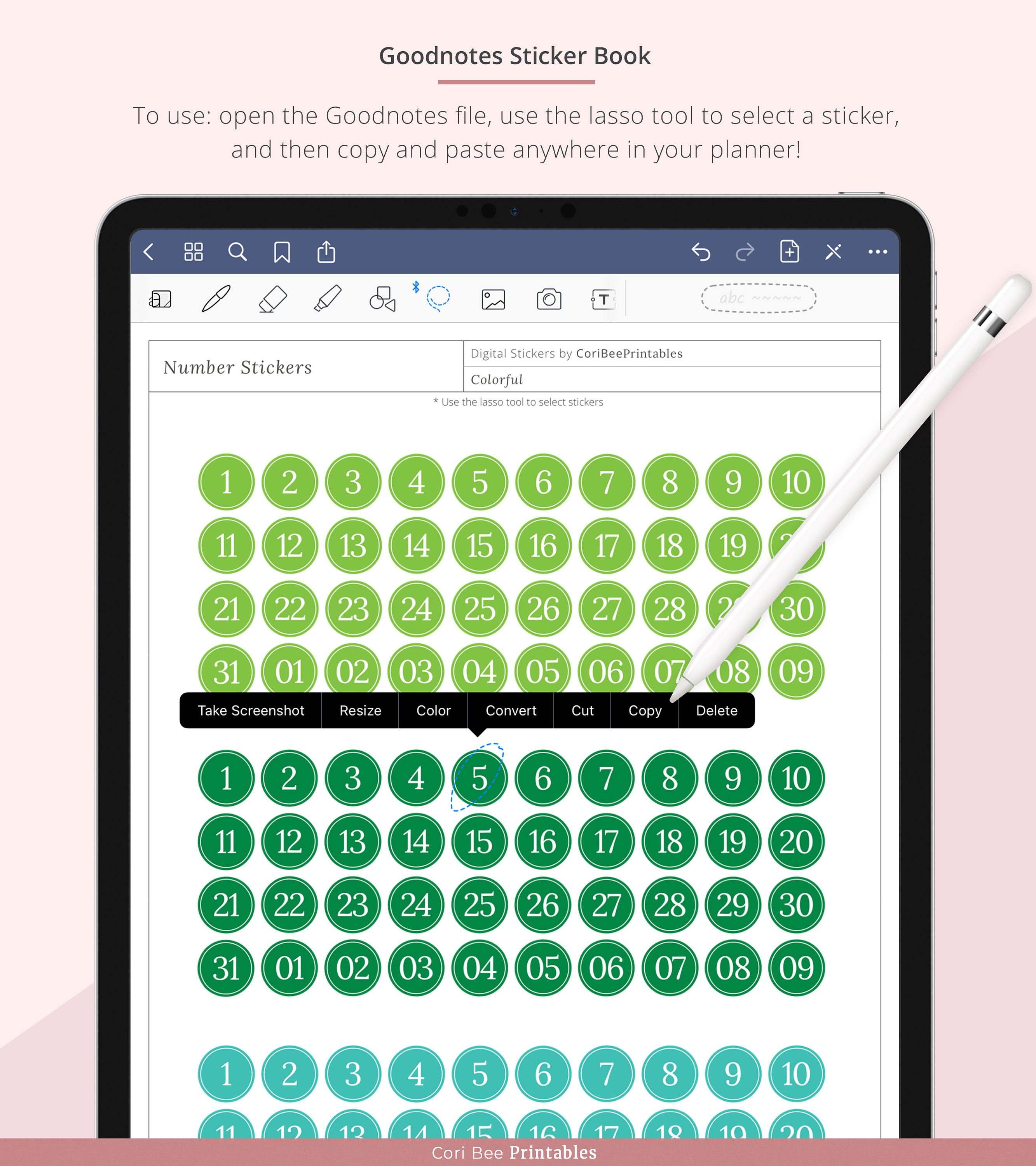 Colorful 1-31 Circle Number Digital Stickers 1-31 Date - Etsy