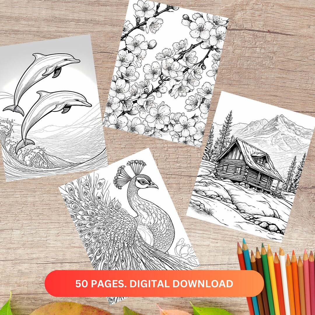 50 Relaxing Patterns Coloring Pages for Adults Digital Printable ...