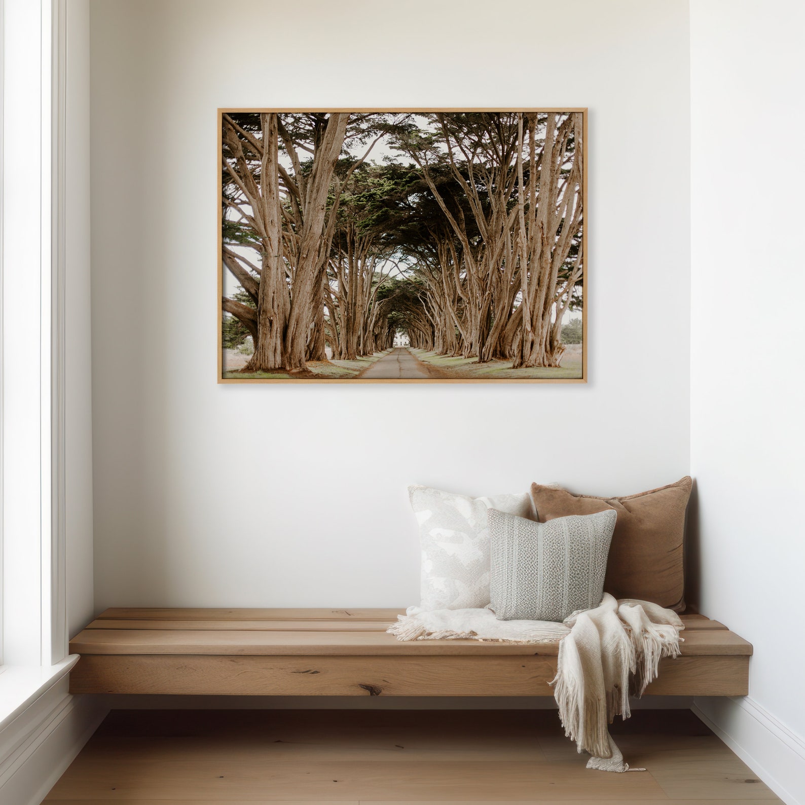 Fall California Big Sur Pnw Tree Tunnel Photo Print, Nature Gallery ...