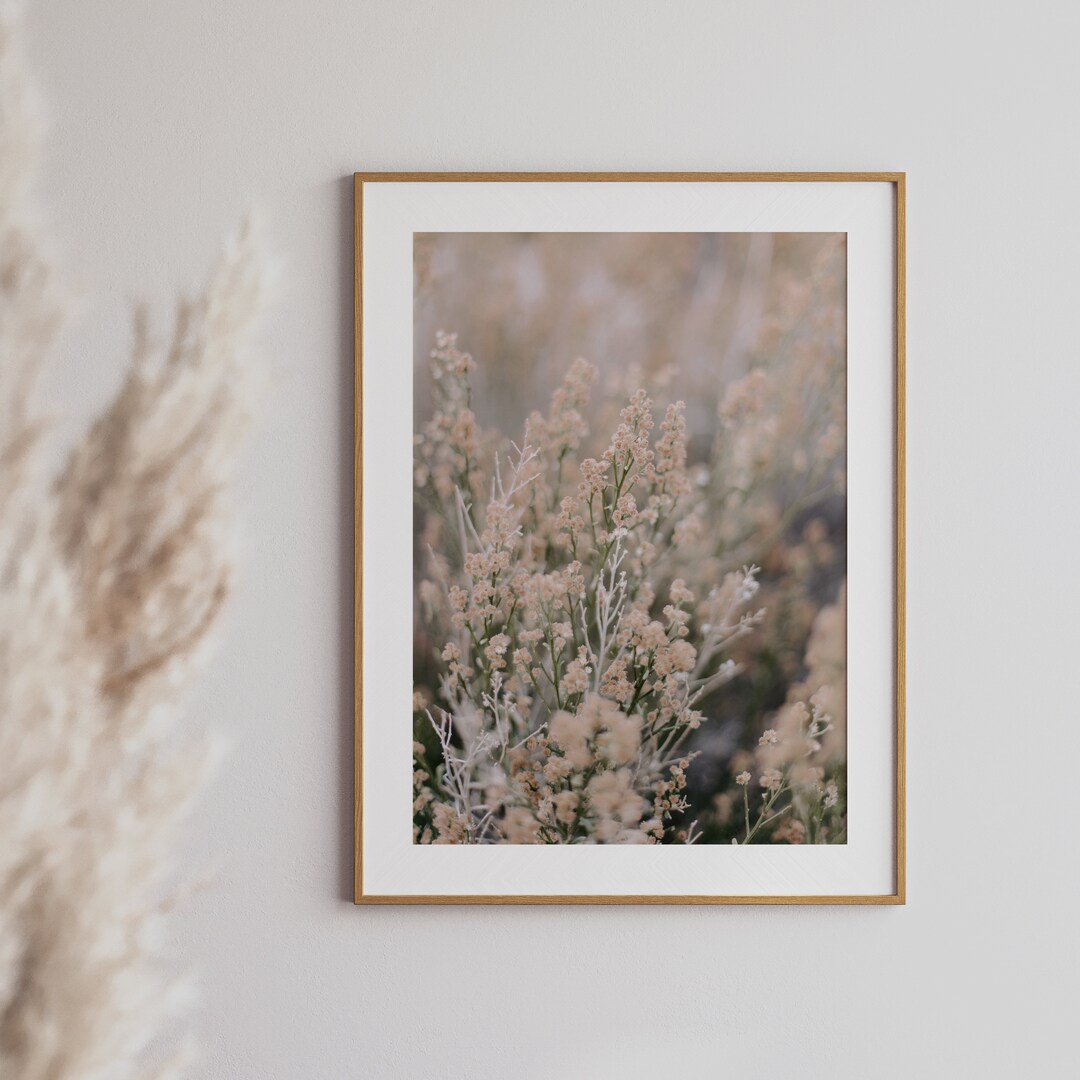 Boho Desert Flower Downloadable Photo Print, Desert Wall Art, Boho Wall ...