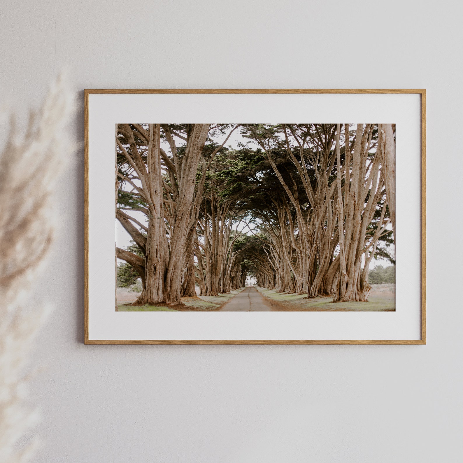 Fall California Big Sur Pnw Tree Tunnel Photo Print, Nature Gallery ...