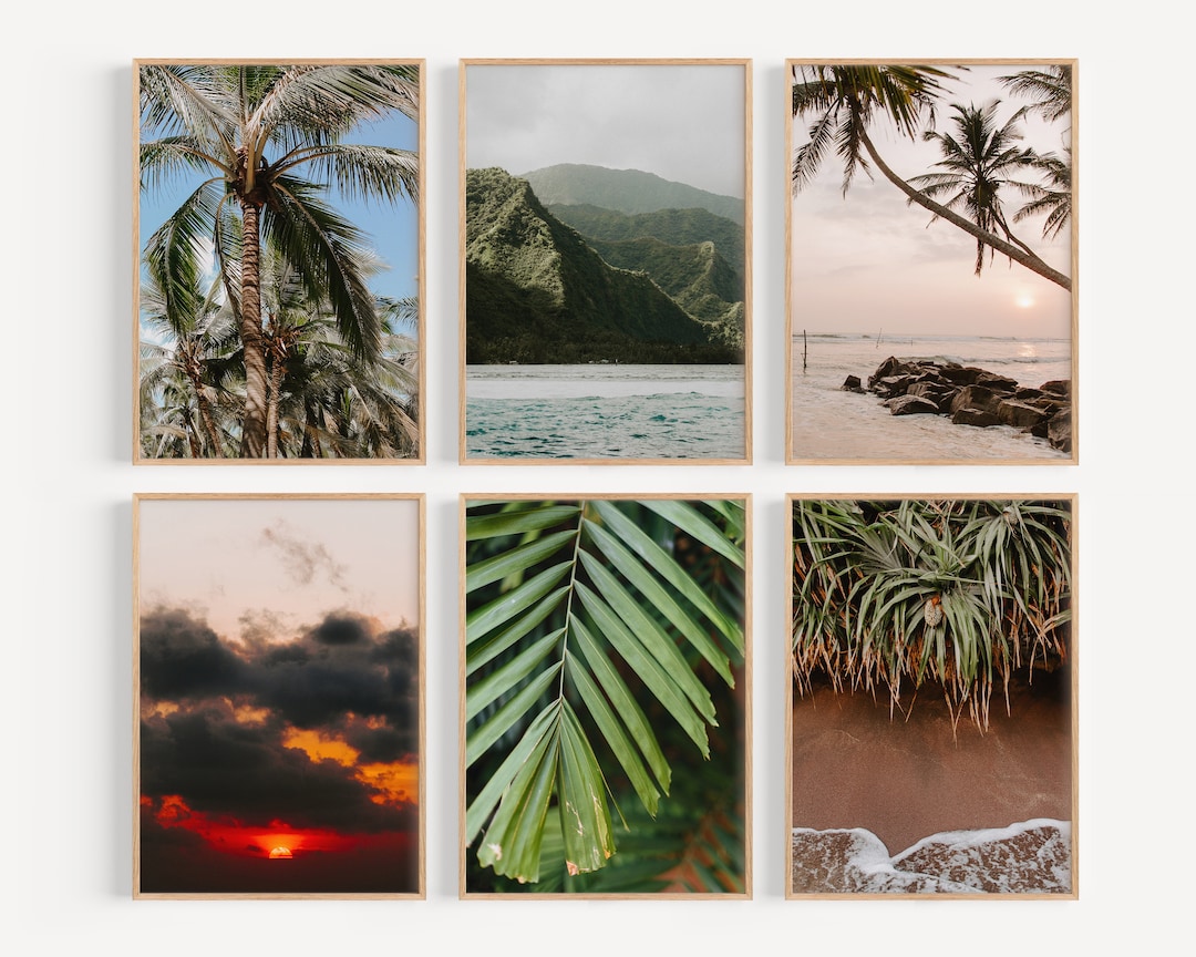 Tropical Photo Gallery Set of 6 | Tropical Wall Art, Tropical Print ...