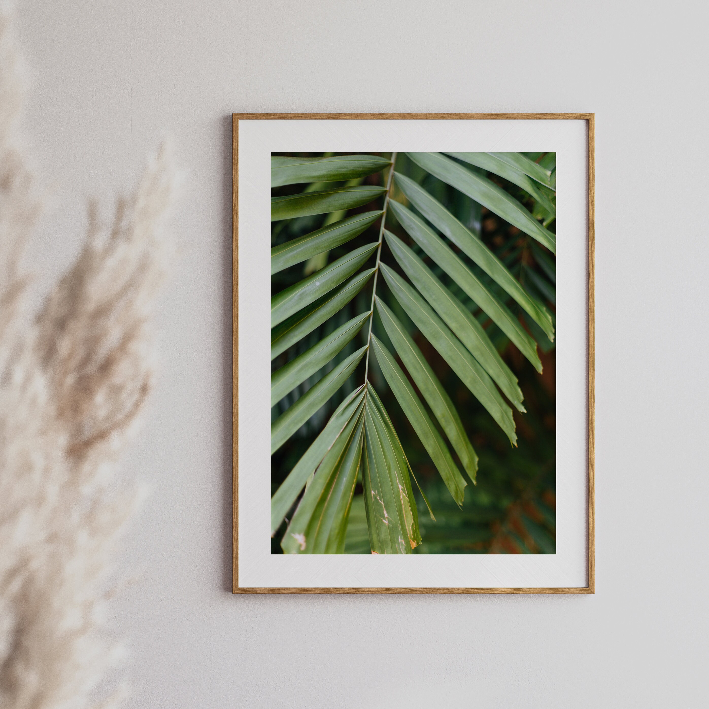 Tropical Photo Gallery Set of 6 Tropical Wall Art Tropical - Etsy