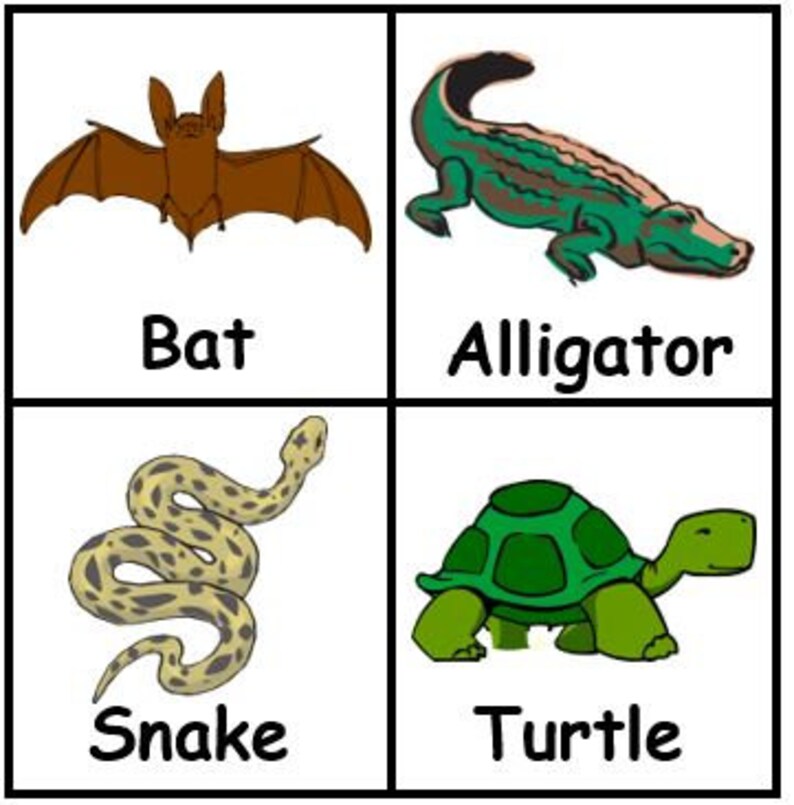 Animal Flash Cards - Etsy