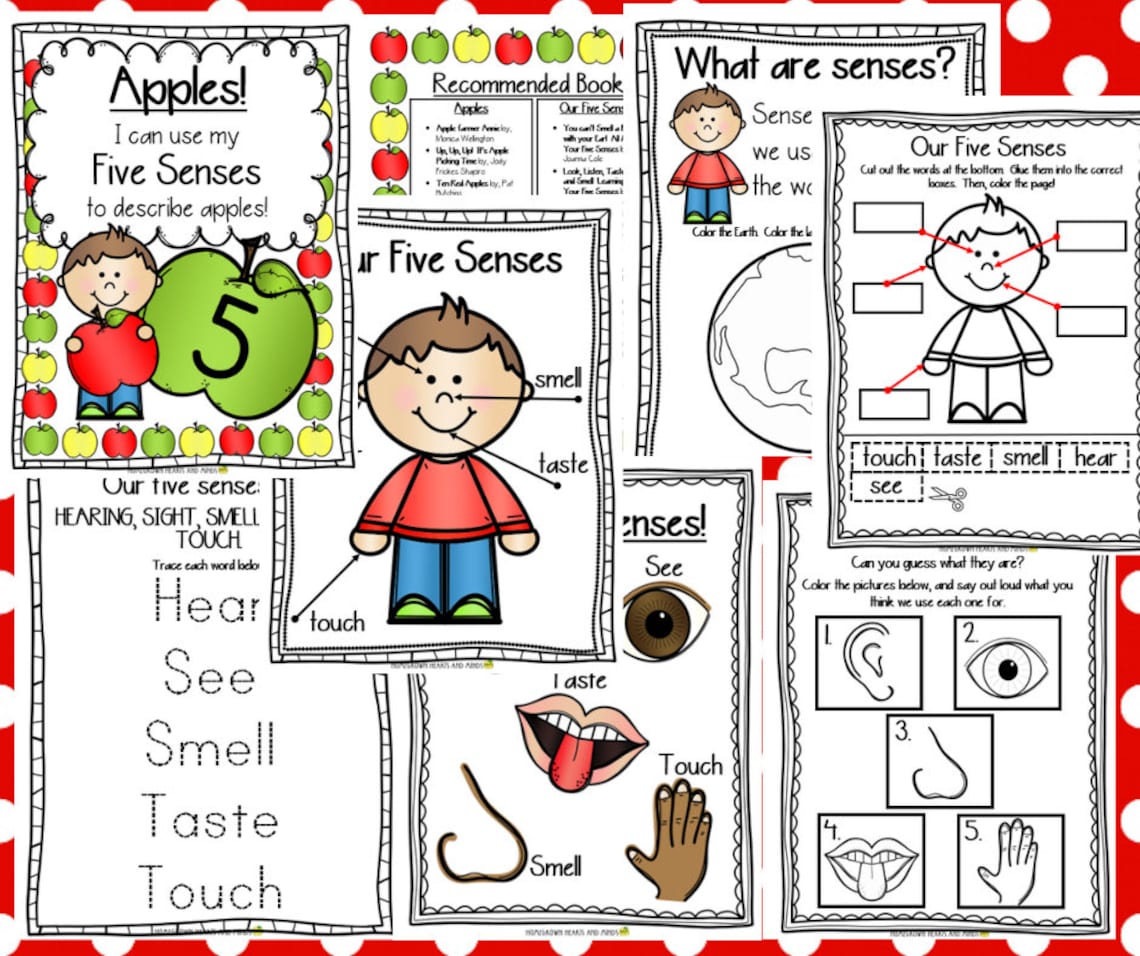 My Five Senses With Apples - Etsy