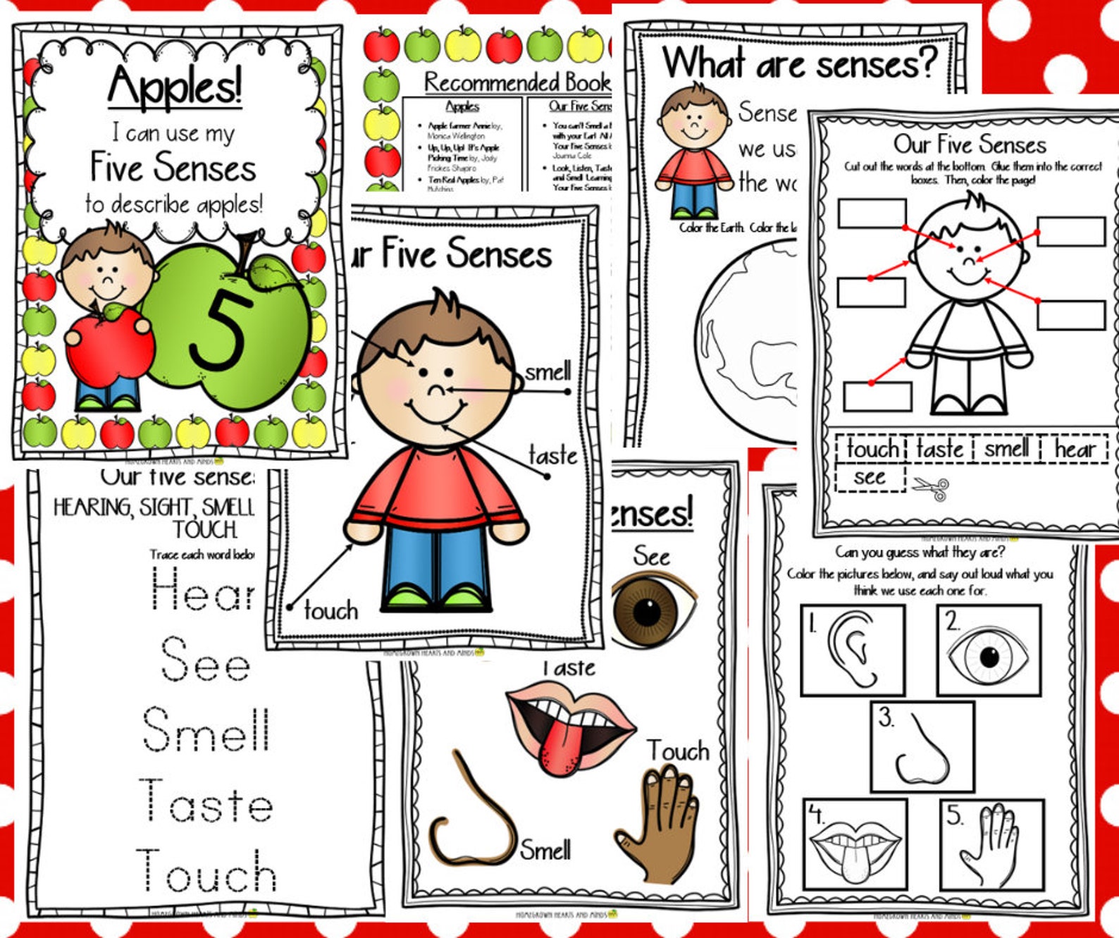 My Five Senses With Apples! - Etsy