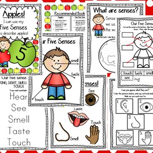 My Five Senses With Apples! - Etsy