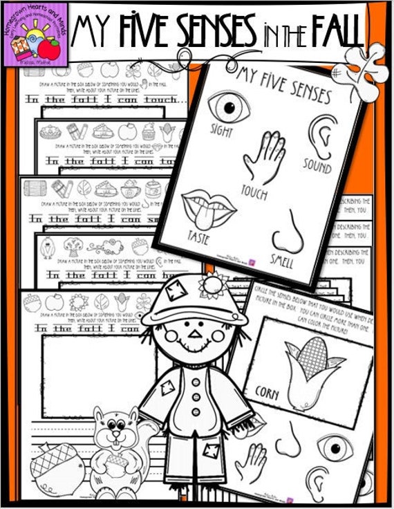 My Five Senses in the Fall | Etsy