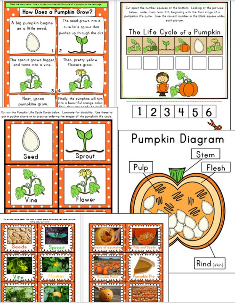 My Pumpkin Learning Pages - Etsy