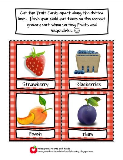 Fruit and Vegetable Sort - Etsy