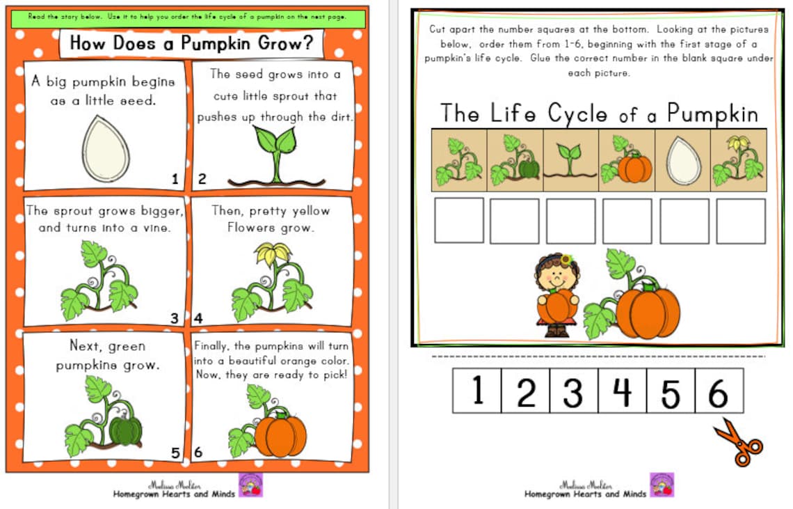 My Pumpkin Learning Pages - Etsy