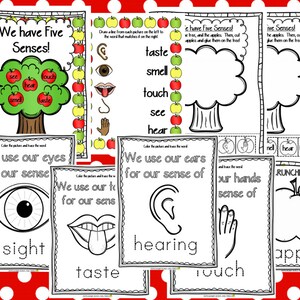 My Five Senses With Apples! - Etsy