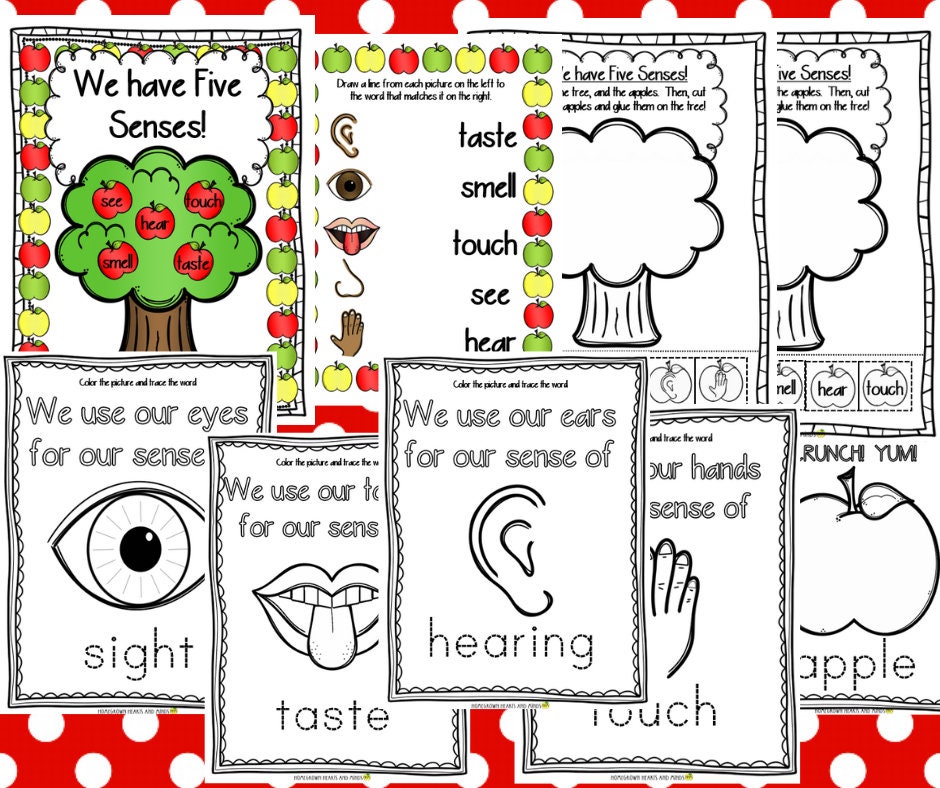 My Five Senses With Apples - Etsy