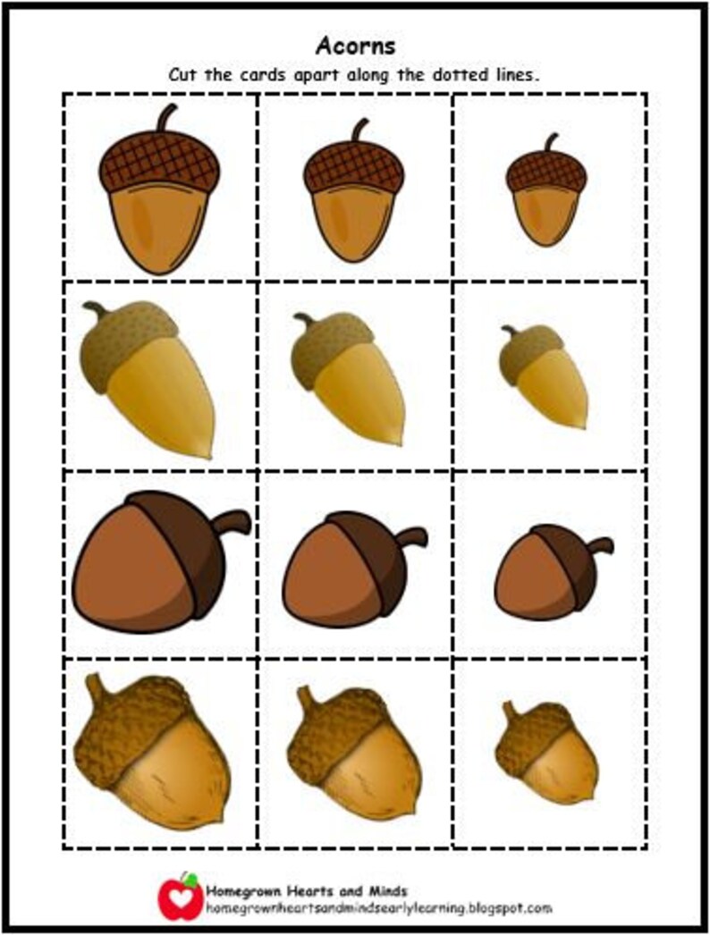 Fall Sorting and Ordering - Etsy